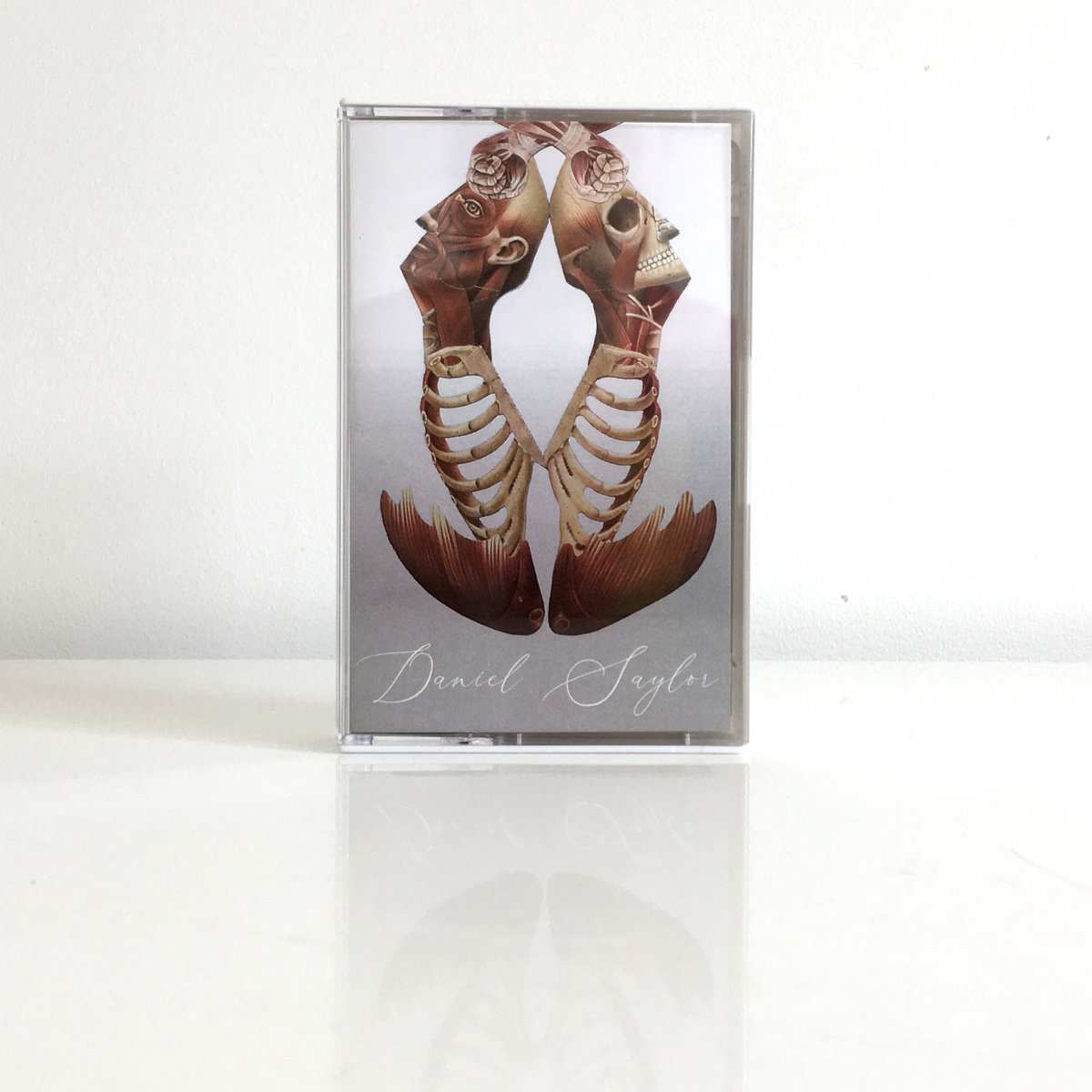 Daniel Saylor – Plastic Present – Joyful Union Cassette Resource